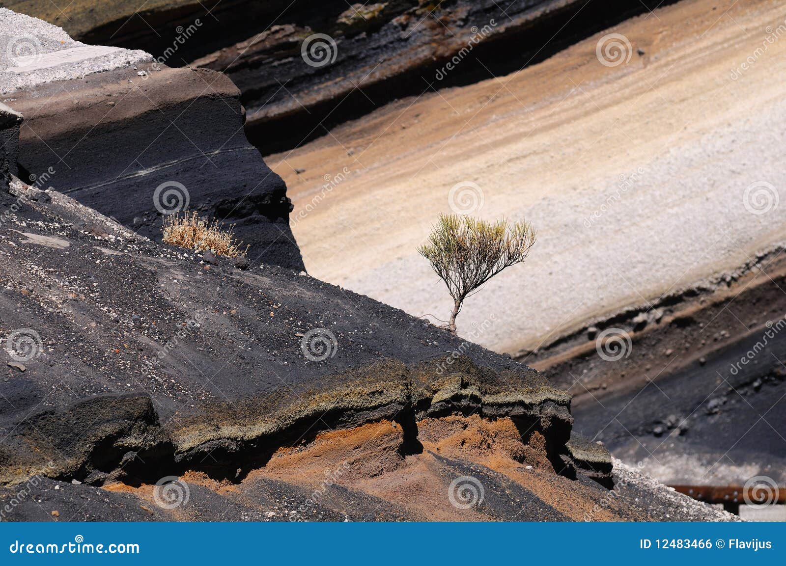 Colors of volcano land stock photo. Image of foliage - 12483466