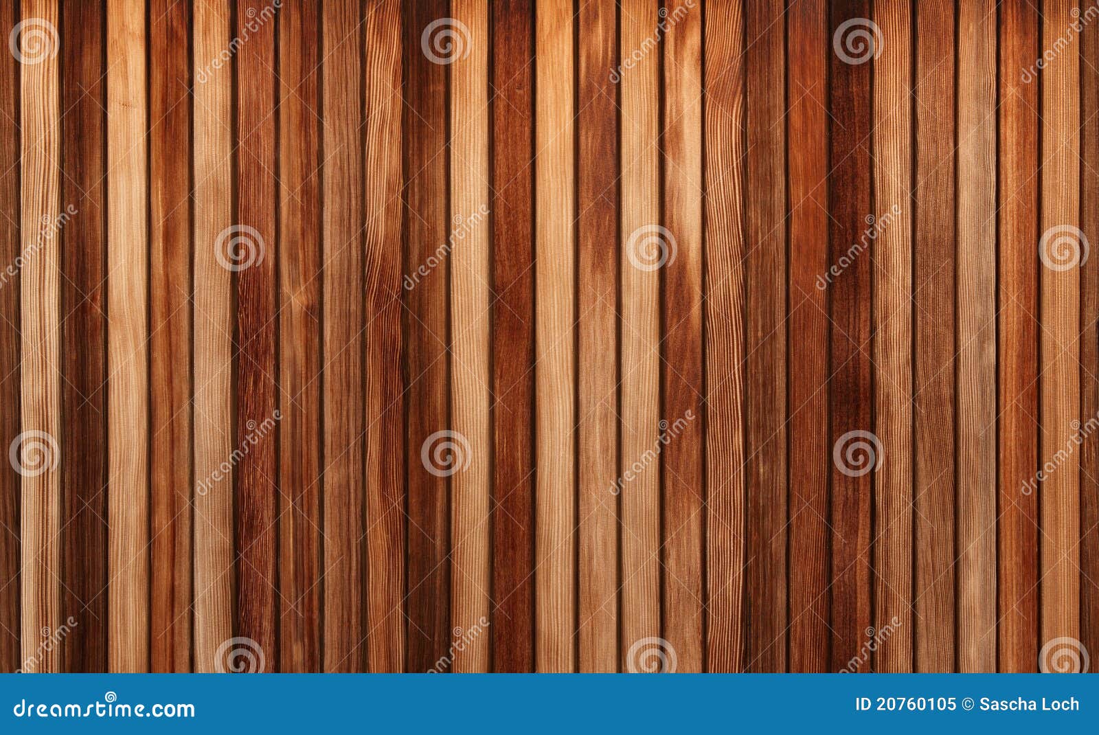 Colors of wood stock image. Image of variations, multicolored - 20760105