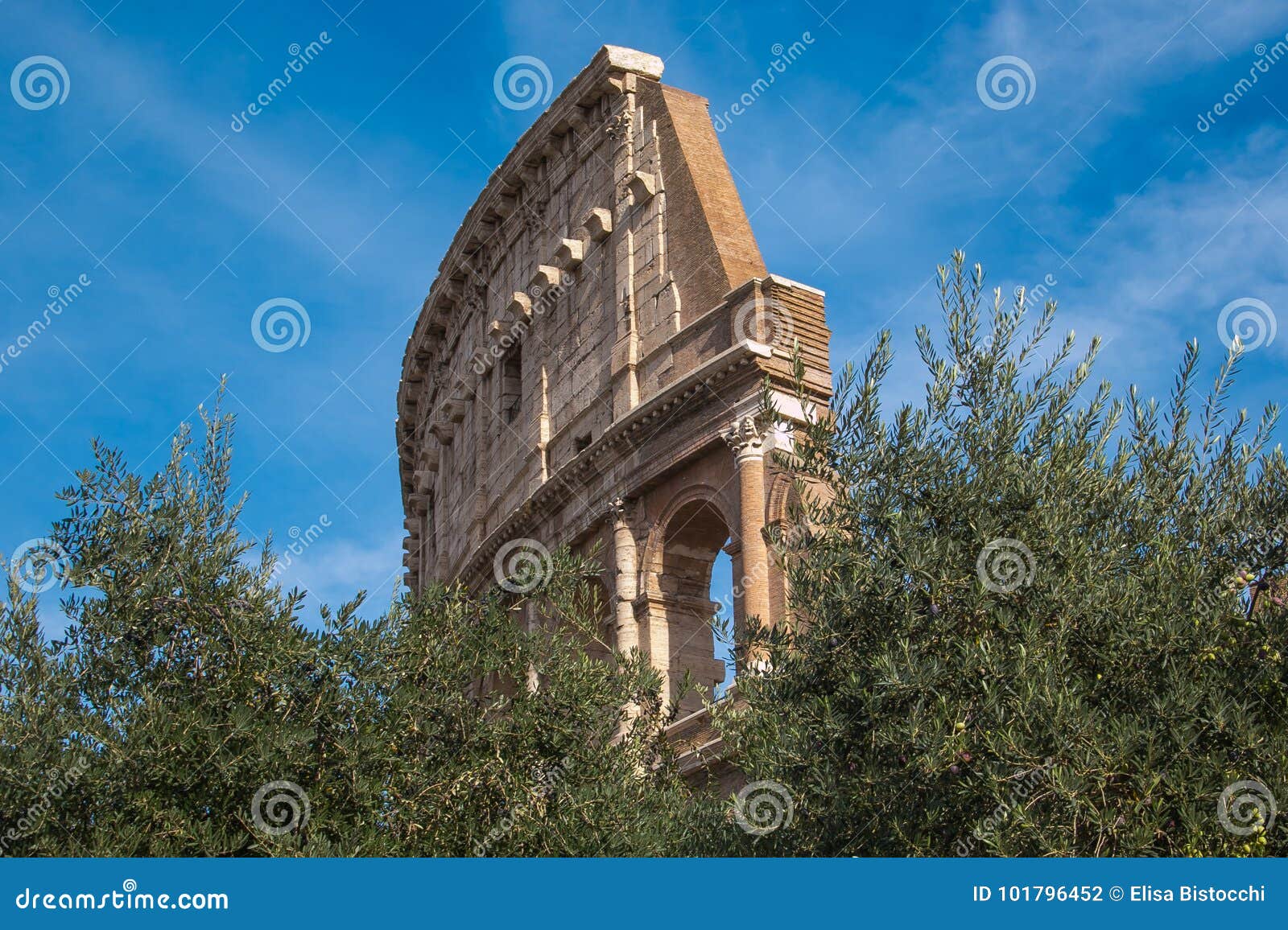 Colosseum On The Olive Trees In The Center Of Rome Stock Photography ...
