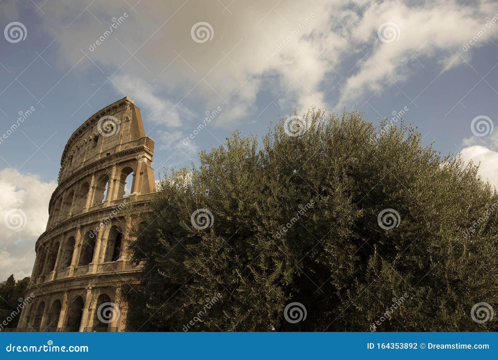Colosseum In Rome As Seen From Behind An Olive Tree Stock Photography ...