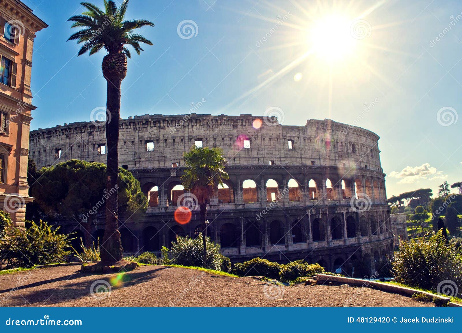 Colosseum Rome Palm tree stock photo. Image of europe - 48129420