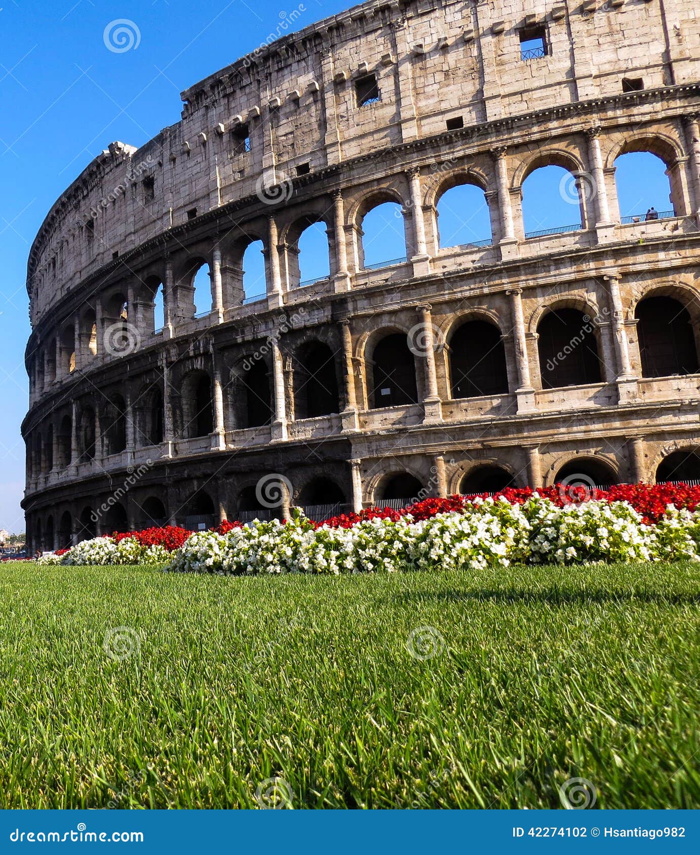 Colosseum stock photo. Image of flowers, rome, colosseum - 42274102