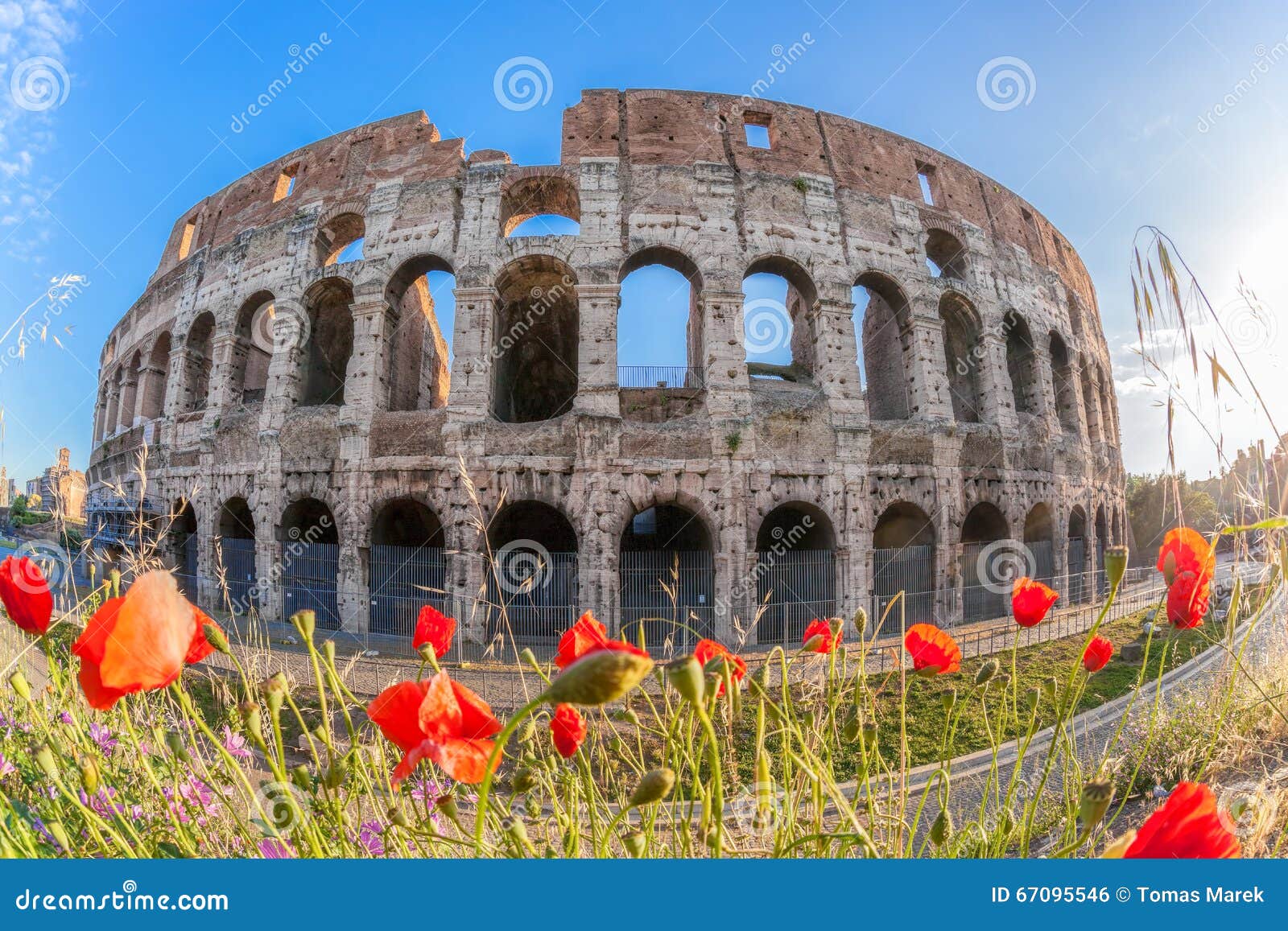 Colosseum with Spring Flowers in Rome, Italy Stock Photo - Image of ...