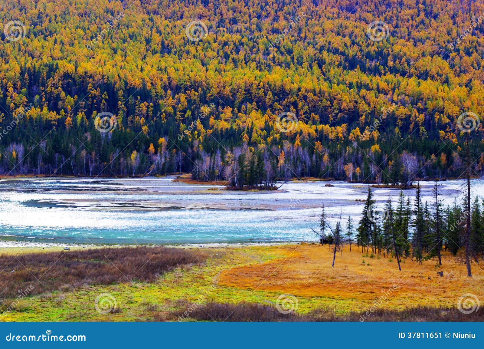 The Colour of Autumn,Wolong Bay Stock Image - Image of blue, scenery ...