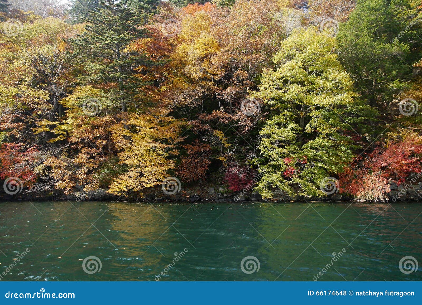 Colour Changing Along River Stock Photo - Image of leaves, foliage ...