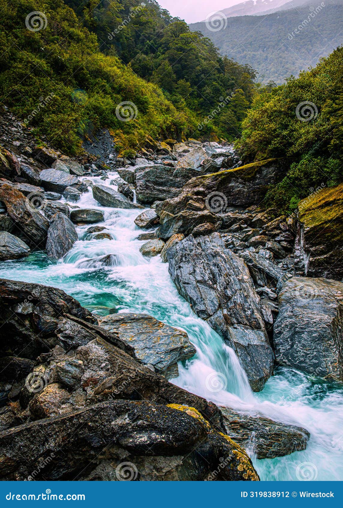 Haast River at Gates of Haast Stock Photo - Image of south, river ...