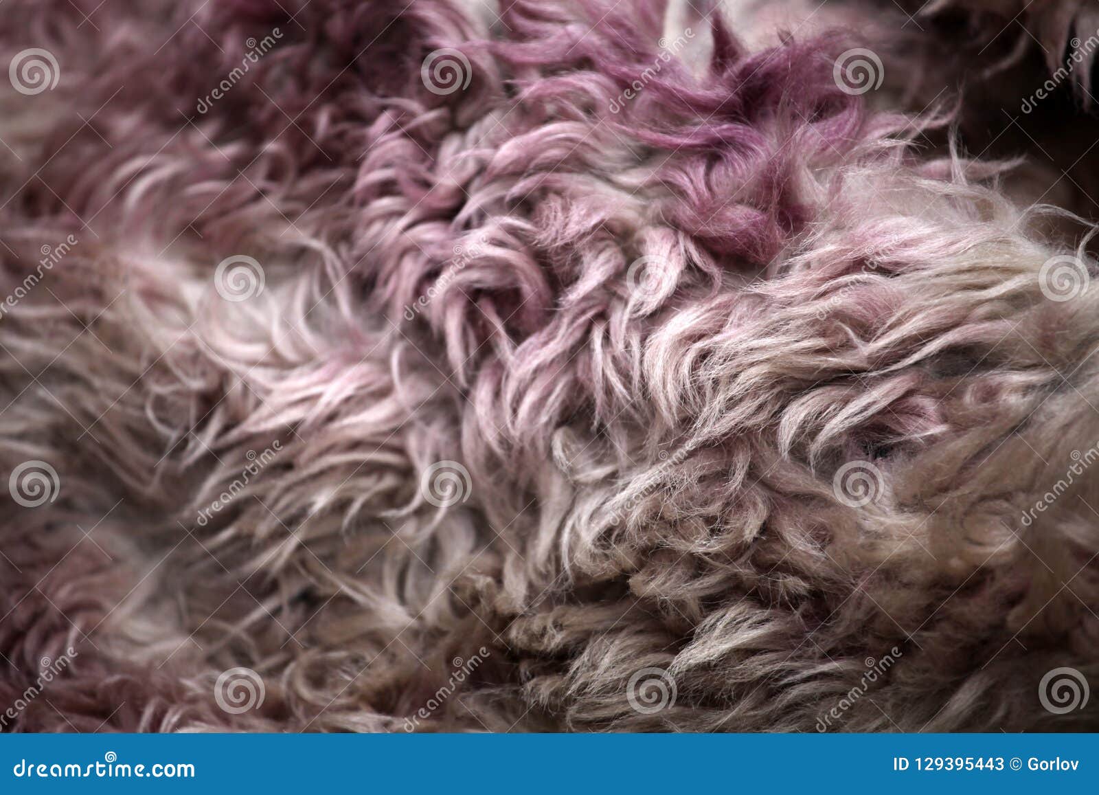 Colour Natural Wool Texture Stock Image - Image of fresh, design: 129395443
