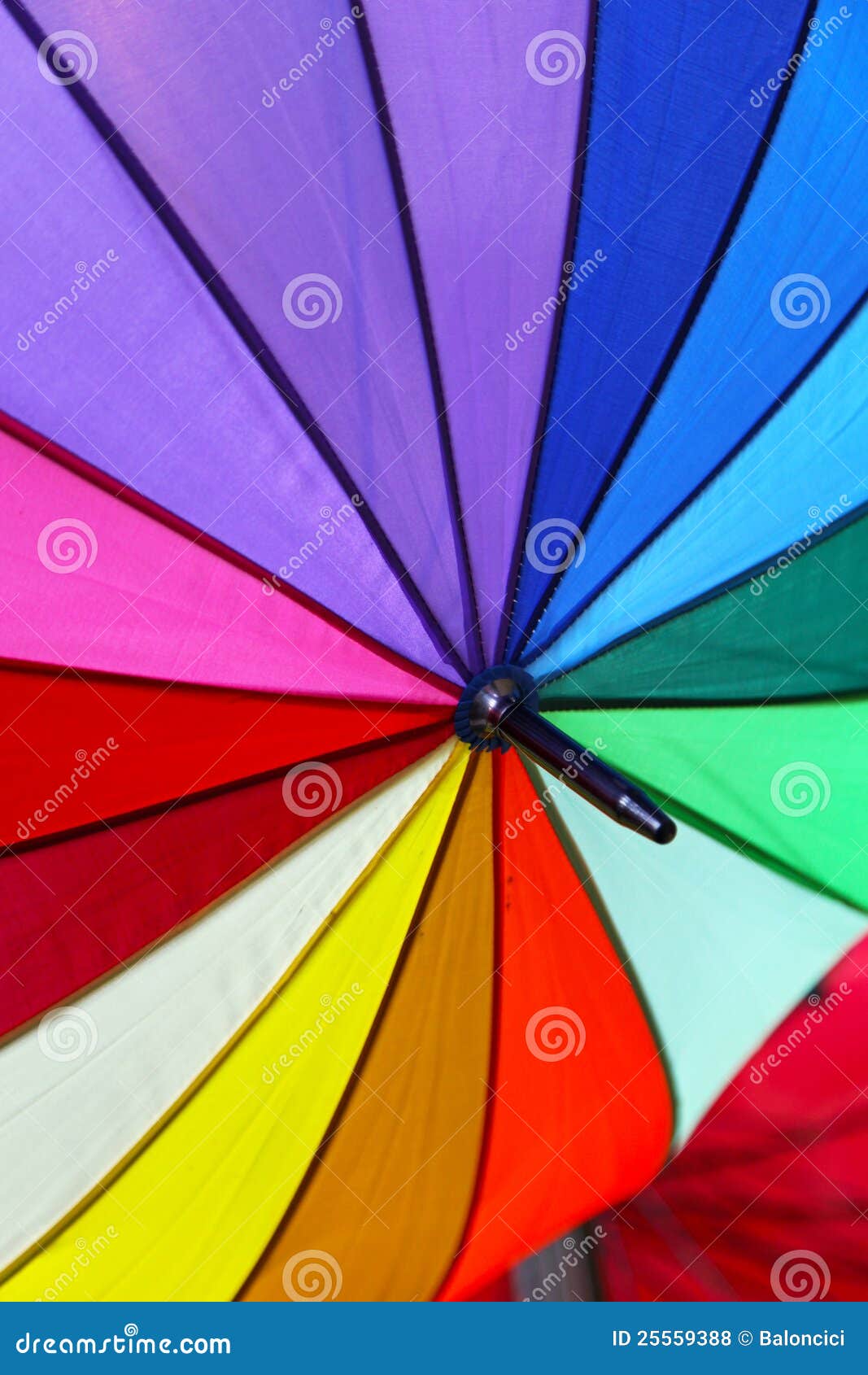 Colour parasol stock photo. Image of color, rainbow, fashion - 25559388