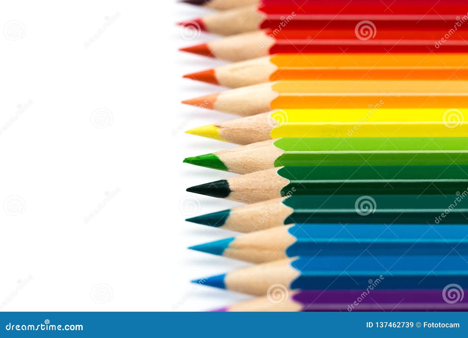 Colour Pencils on White Background Stock Image - Image of crayon, color ...