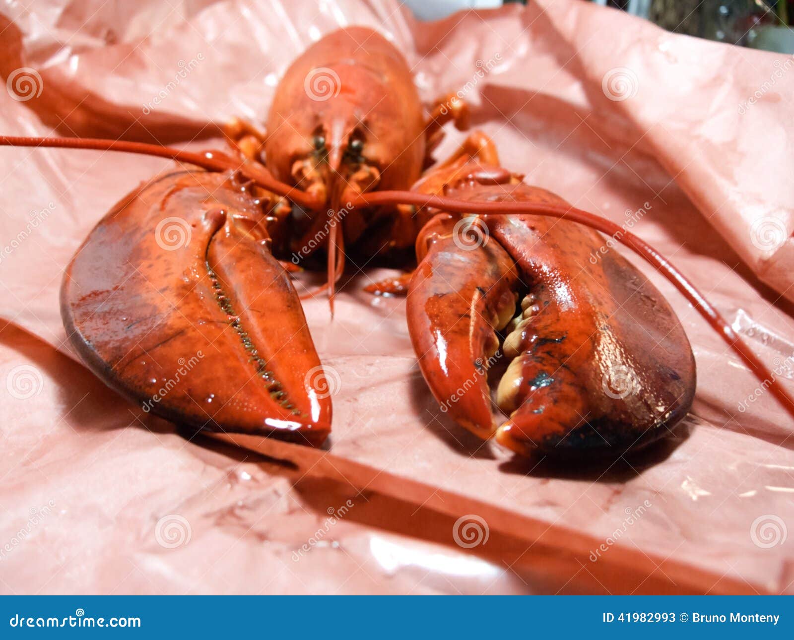 Colour picture of food stock image. Image of freshness - 41982993