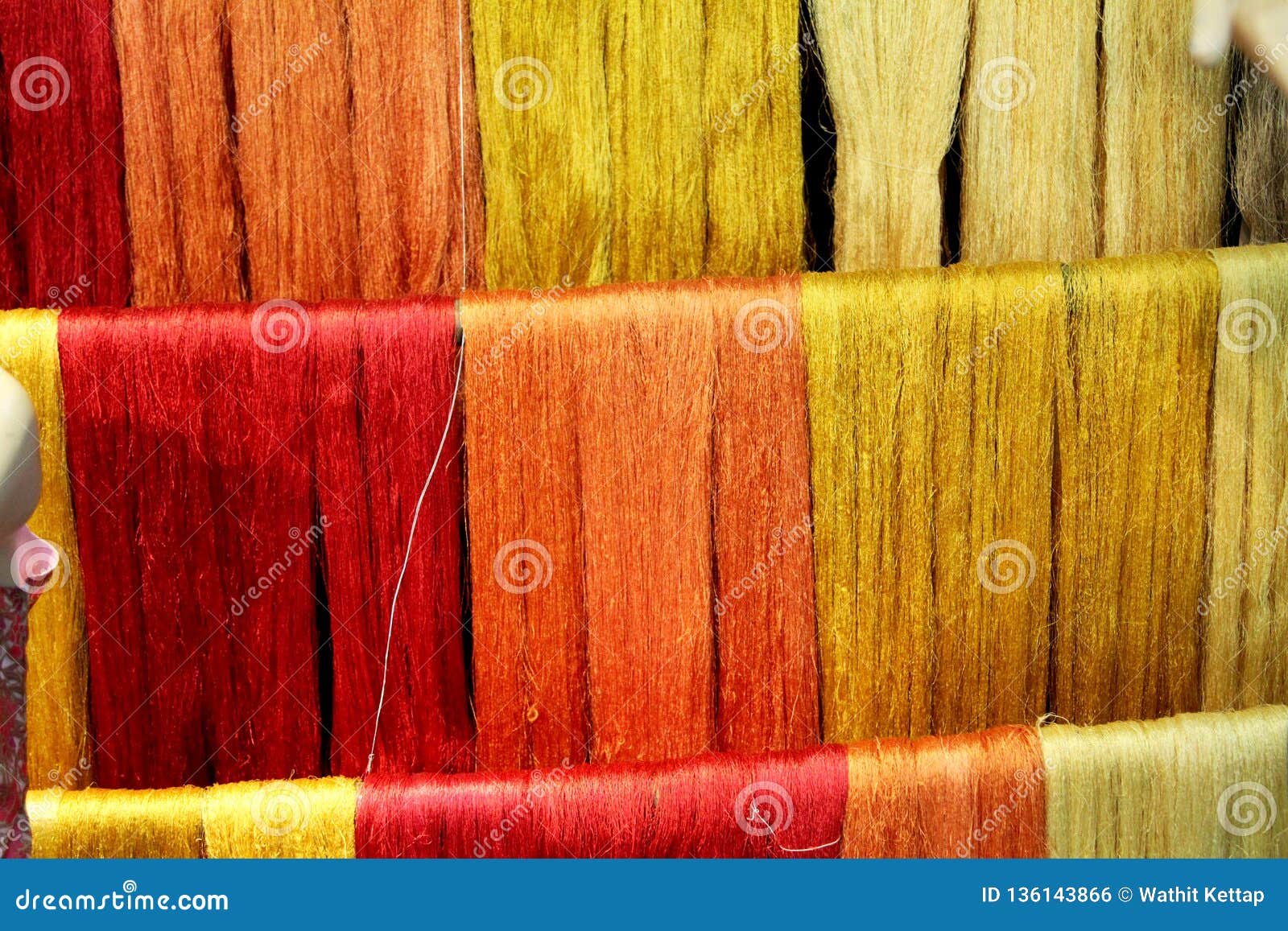 The colour of silk thread. stock photo. Image of animal - 136143866