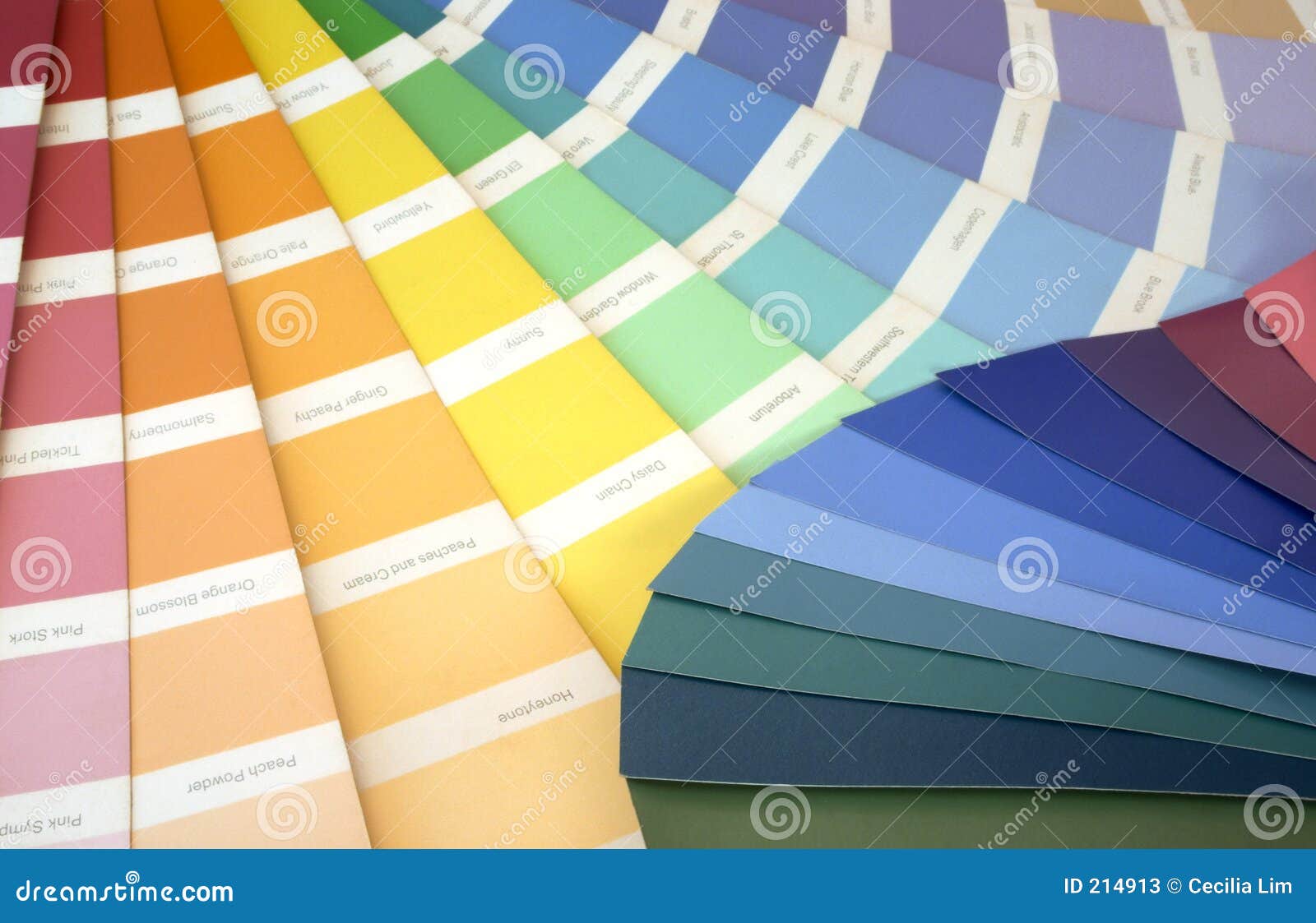 Colour Swatches stock image. Image of renovate, paint, blue - 214913