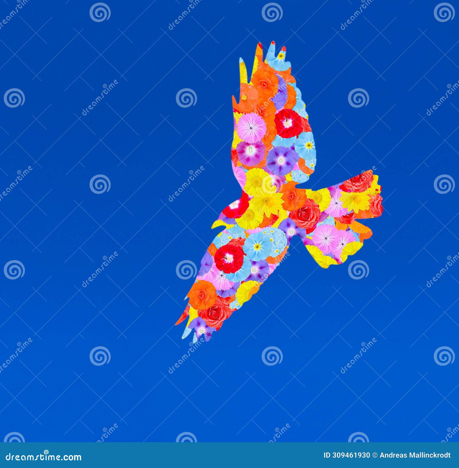 Coloured Alpine Chough (Pyrrhocorax Graculus) Stock Illustration ...