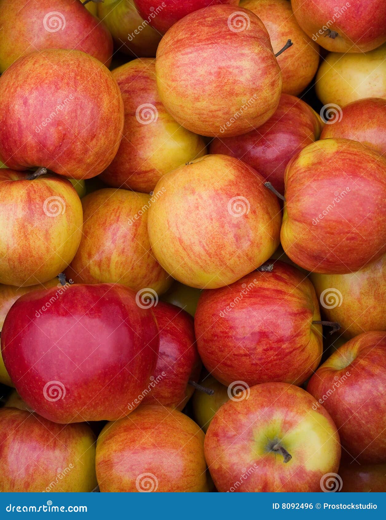 Coloured apples stock photo. Image of market, coloured - 8092496