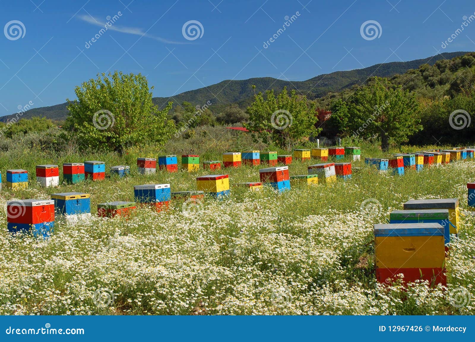 Coloured beehives stock photo. Image of colours, sweet - 12967426