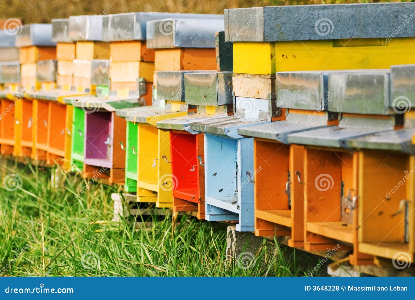Coloured beehives stock photo. Image of hives, insects - 3648228