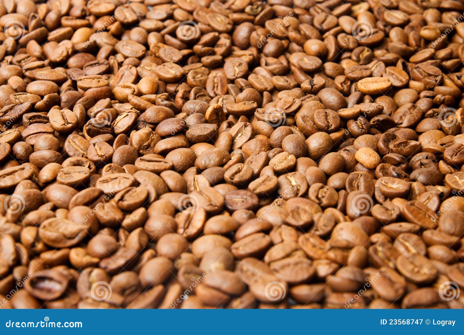 Coloured Coffee Texture. Coffee Beans Closeup Stock Image - Image of ...