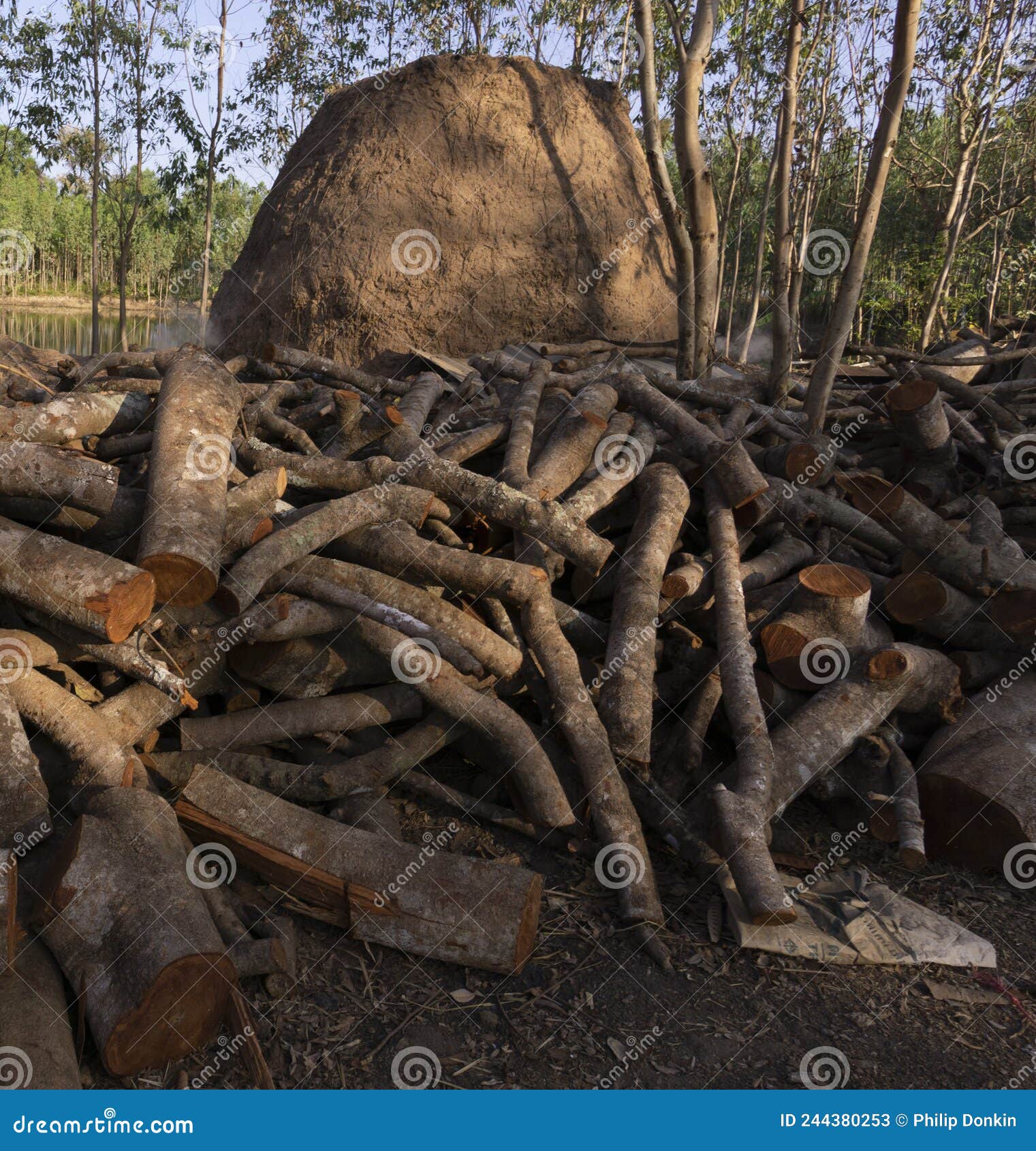 Coloured Crinkly Tissue Paper with Its Textures and Patterns Stock ...