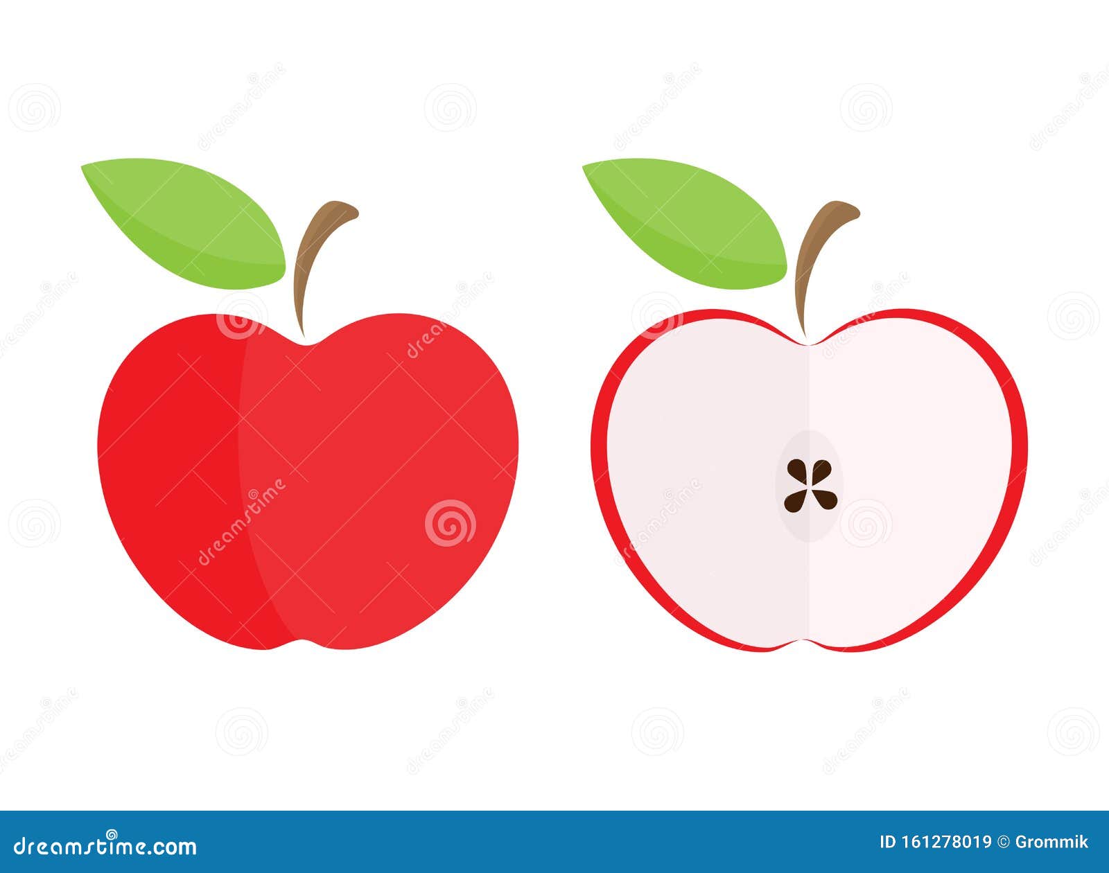 Coloured Drawing of an Apple. a Whole Apple and Half an Apple Stock ...