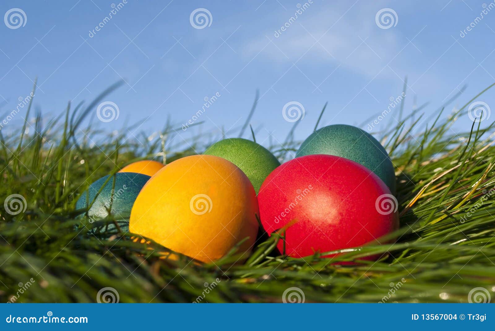 Coloured Easter Eggs on Grass with Blue Sky Stock Photo - Image of eggs ...