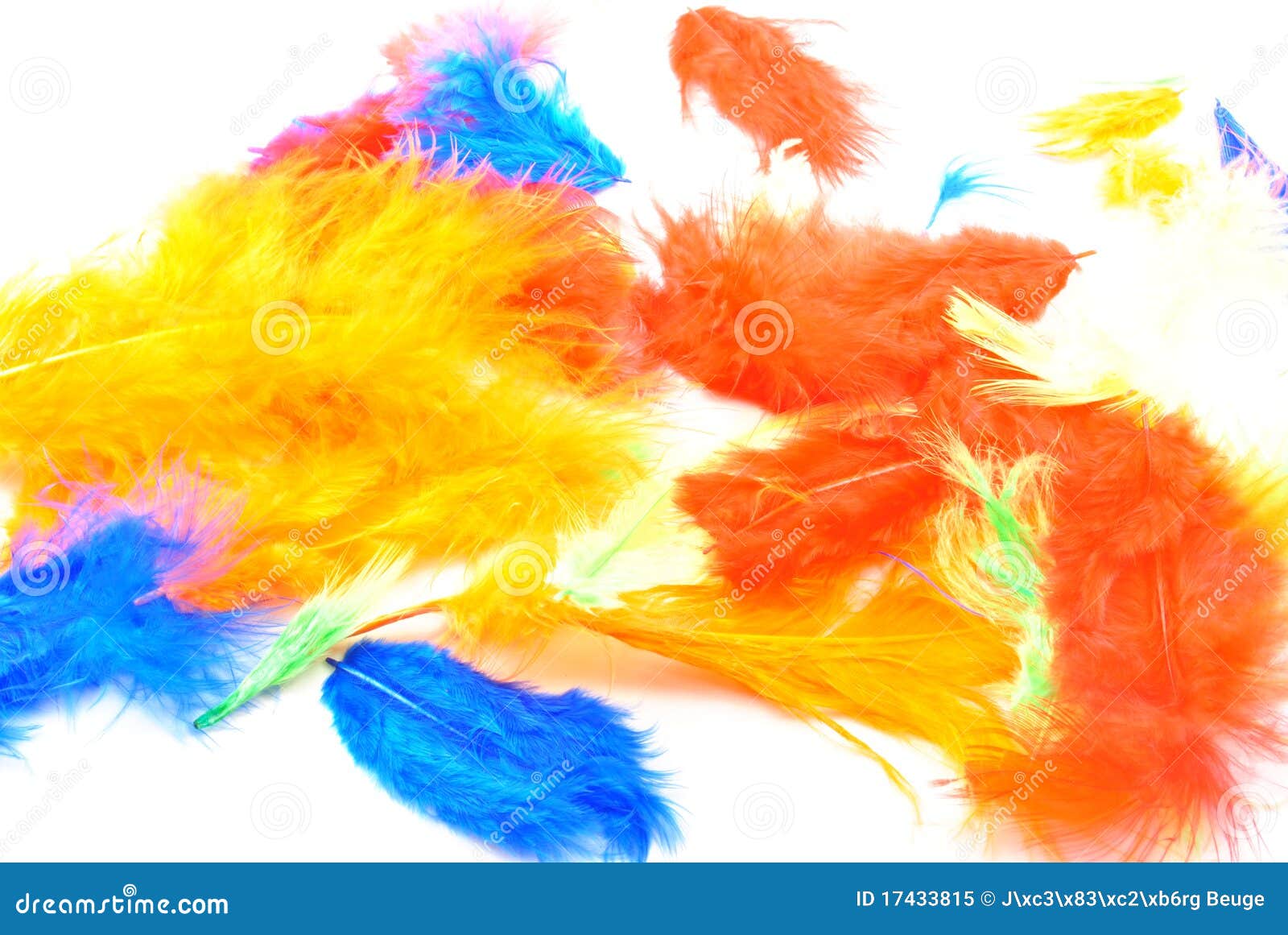 Coloured Feathers Ideal for Easter Decoration Stock Image - Image of ...