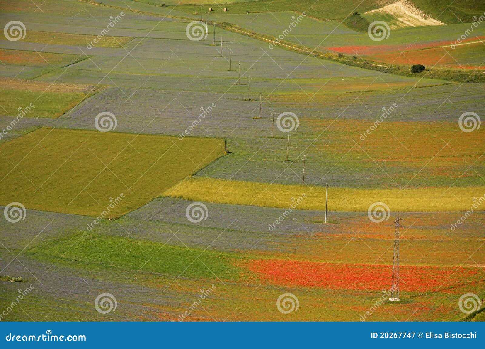 Coloured fields stock image. Image of summer, travel - 20267747