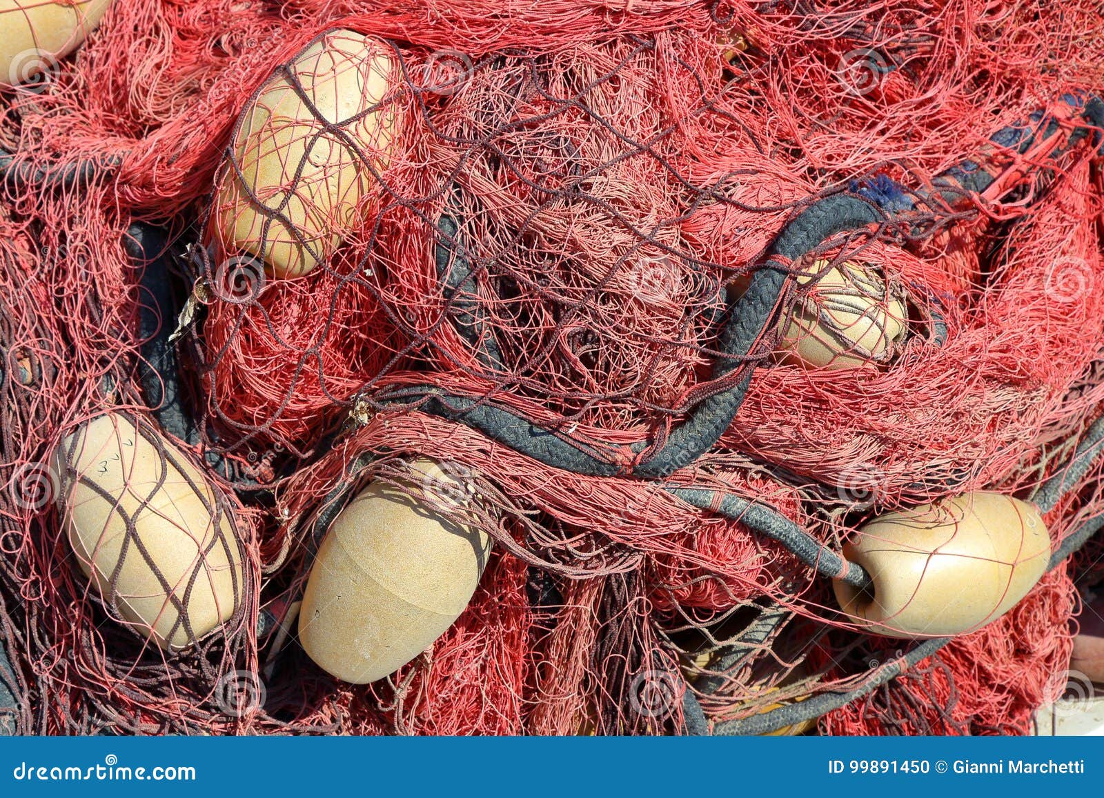 Coloured fish net stock photo. Image of marine, blue - 99891450