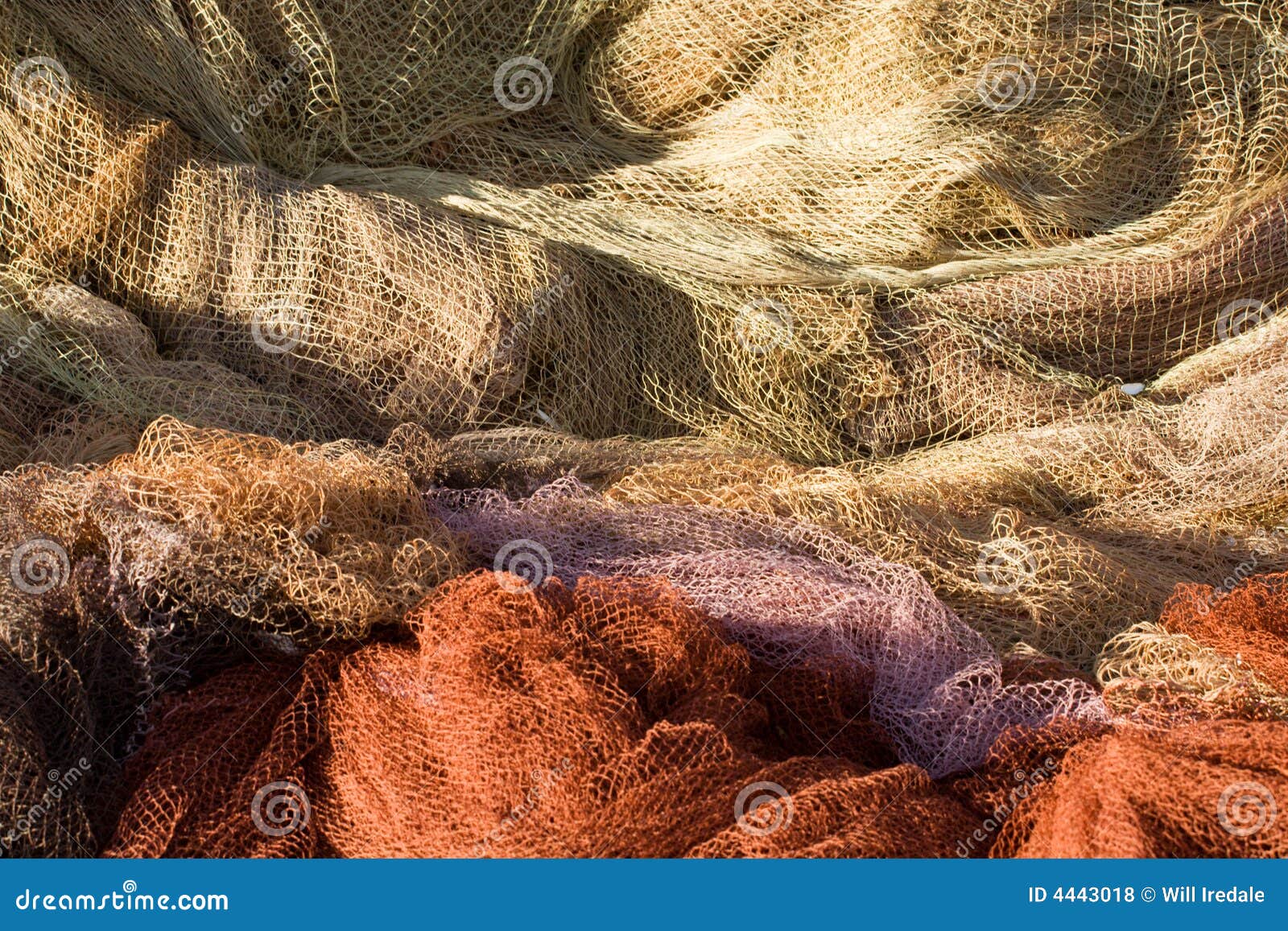 Coloured Fishing Nets stock photo. Image of seine, fish - 4443018