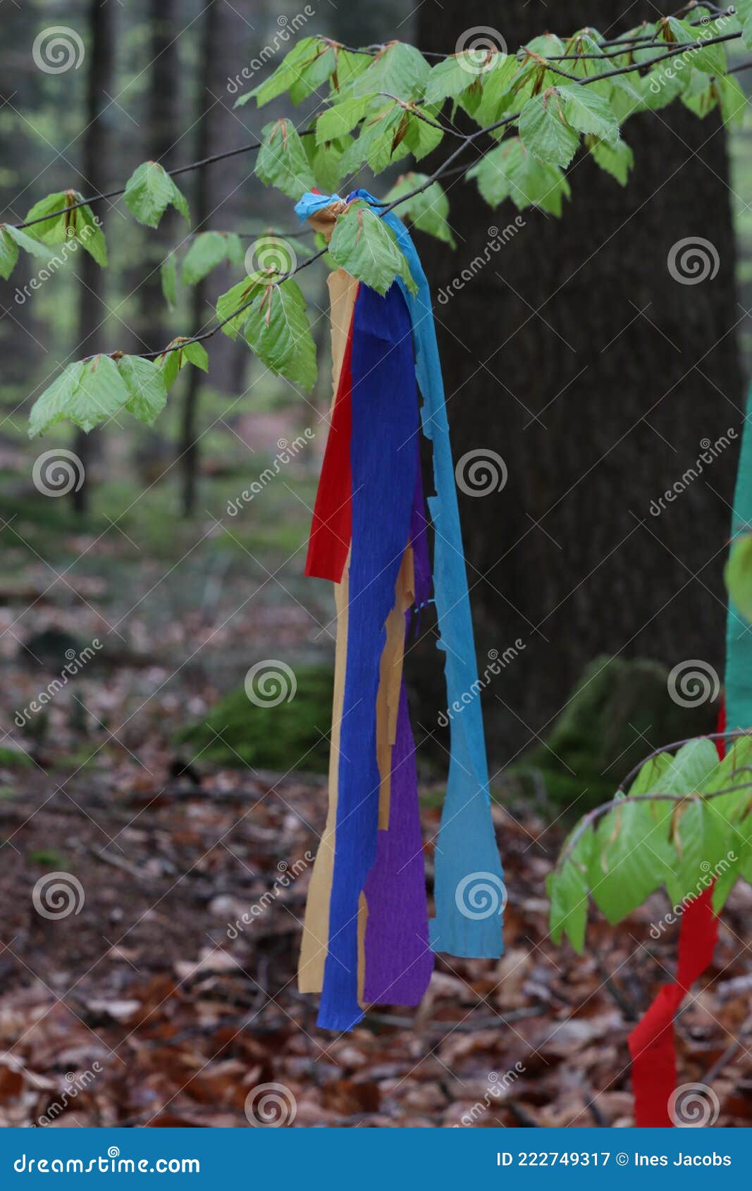 Coloured flag in a tree stock image. Image of blowing - 222749317