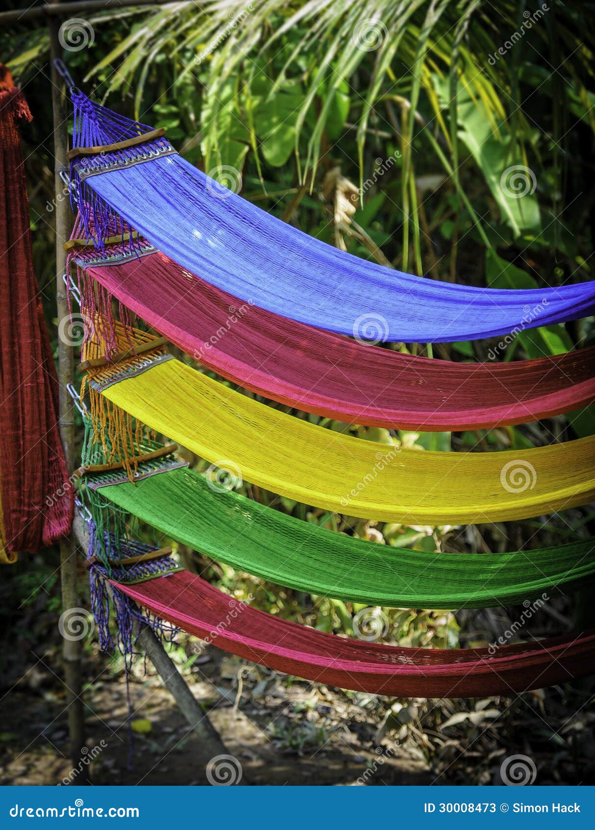 Coloured hammocks stock image. Image of swinging, summer - 30008473