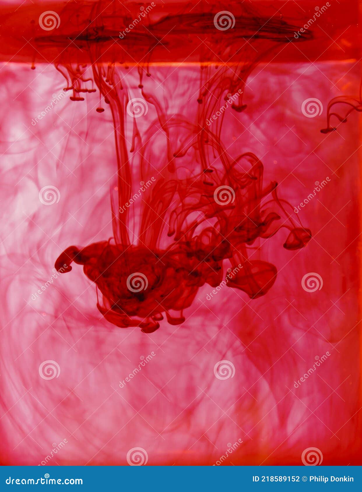 Coloured Inks Dropped into Water Creating Magical Art and Patterns As ...