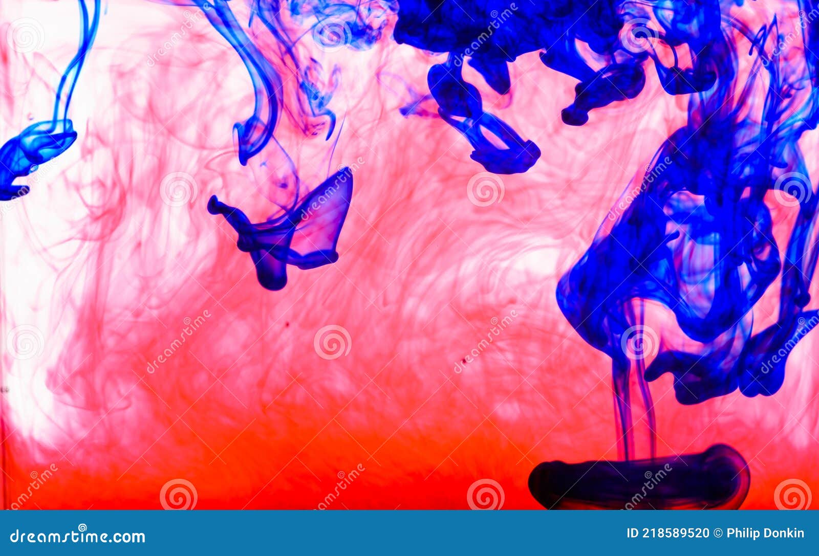 Coloured Inks Dropped into Water Creating Magical Art and Patterns As ...