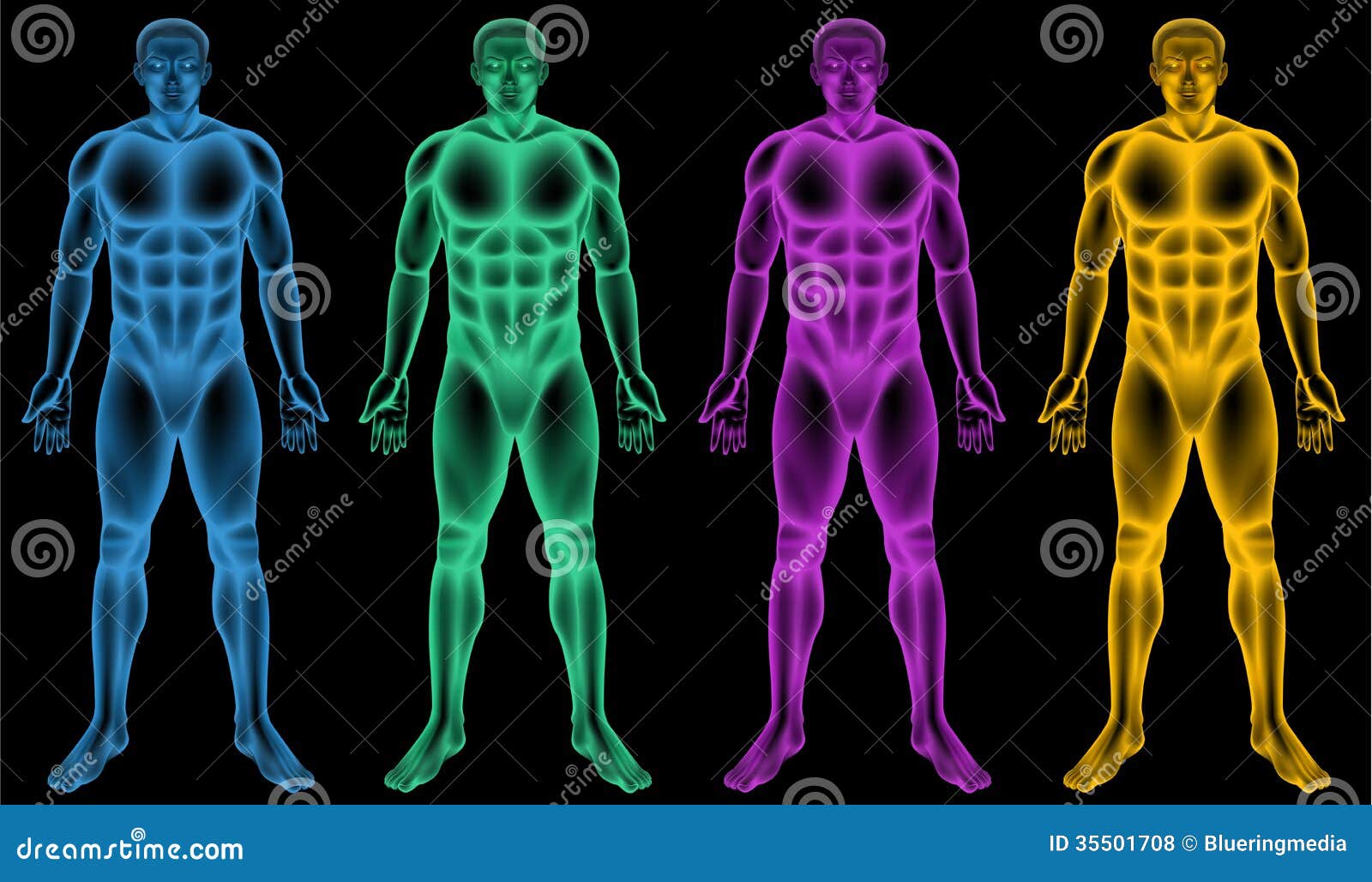 Male Bodies Stock Illustrations – 364 Male Bodies Stock Illustrations ...