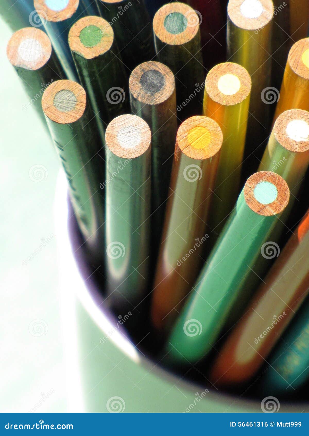 Coloured Pencils in a Pot stock photo. Image of brightly - 56461316