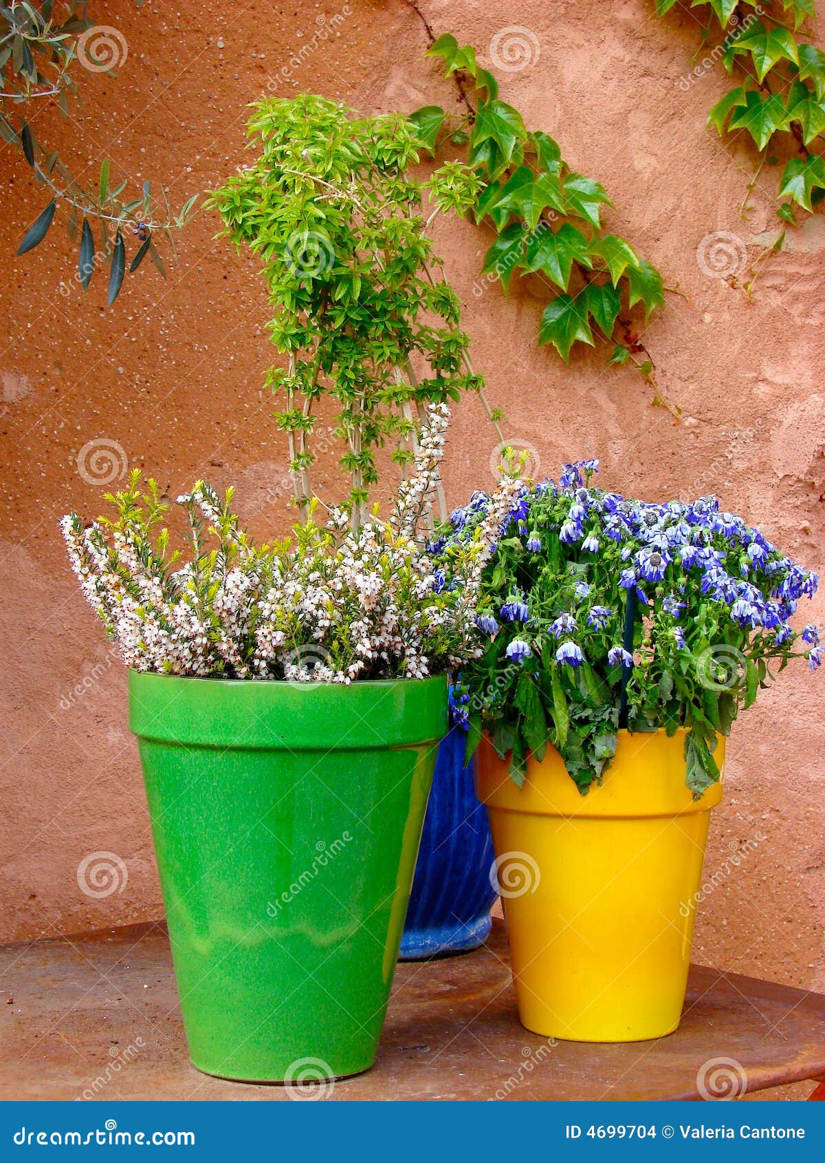 Coloured pots stock photo. Image of garden, decorative - 4699704