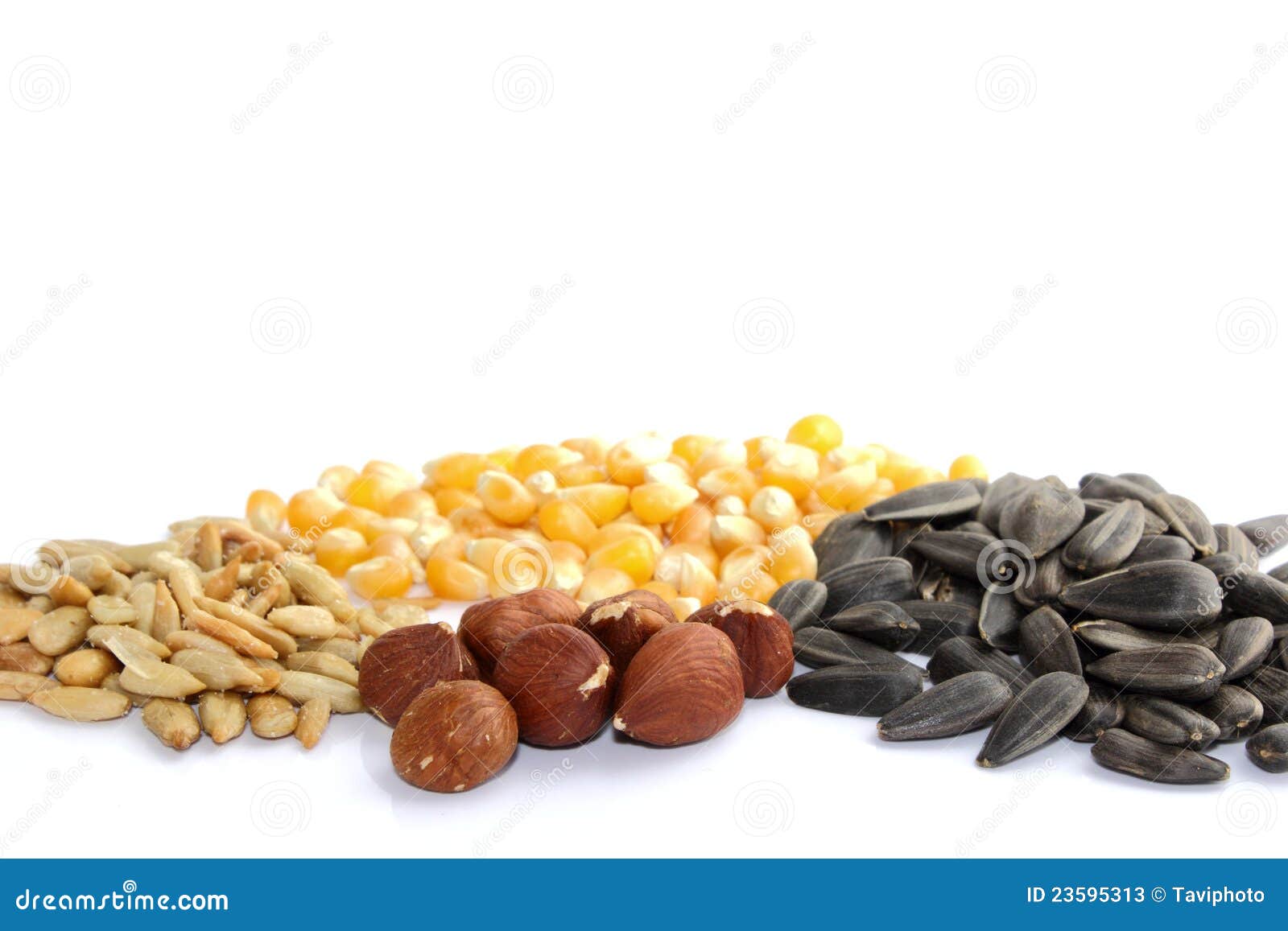 Coloured seed mixture stock image. Image of nutrition - 23595313