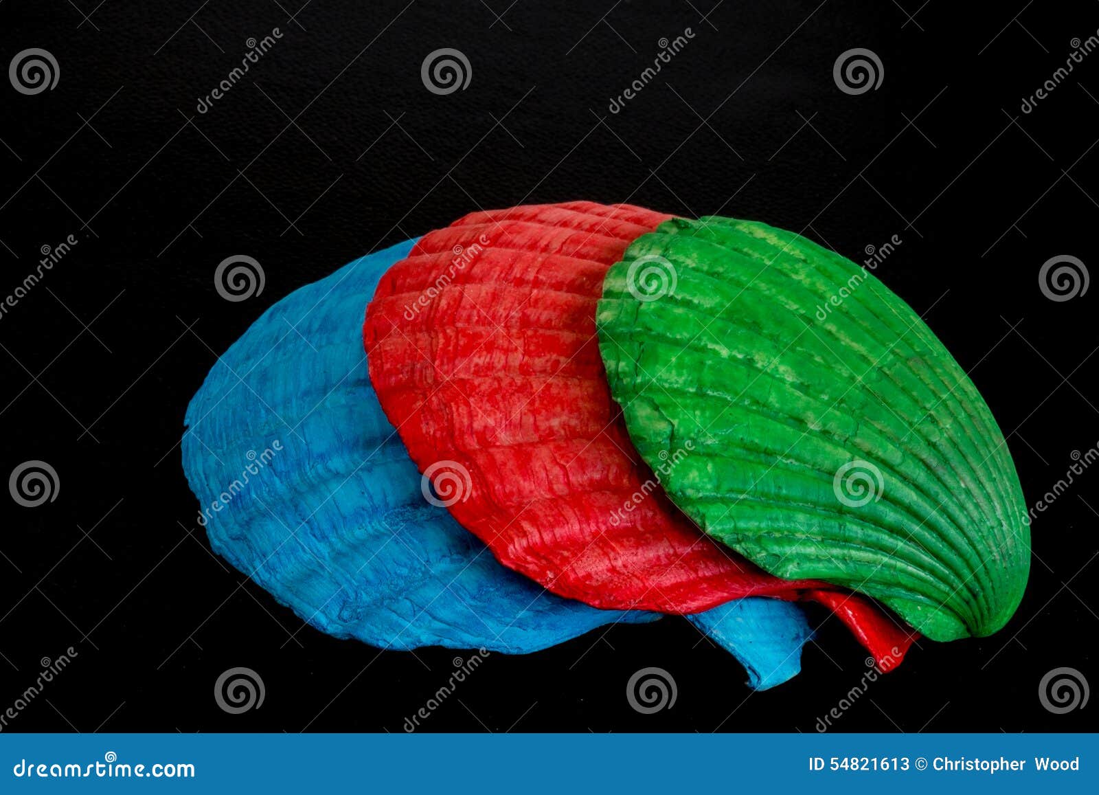 Red,Green,Blue seashells stock image. Image of wall, colourful - 54821613