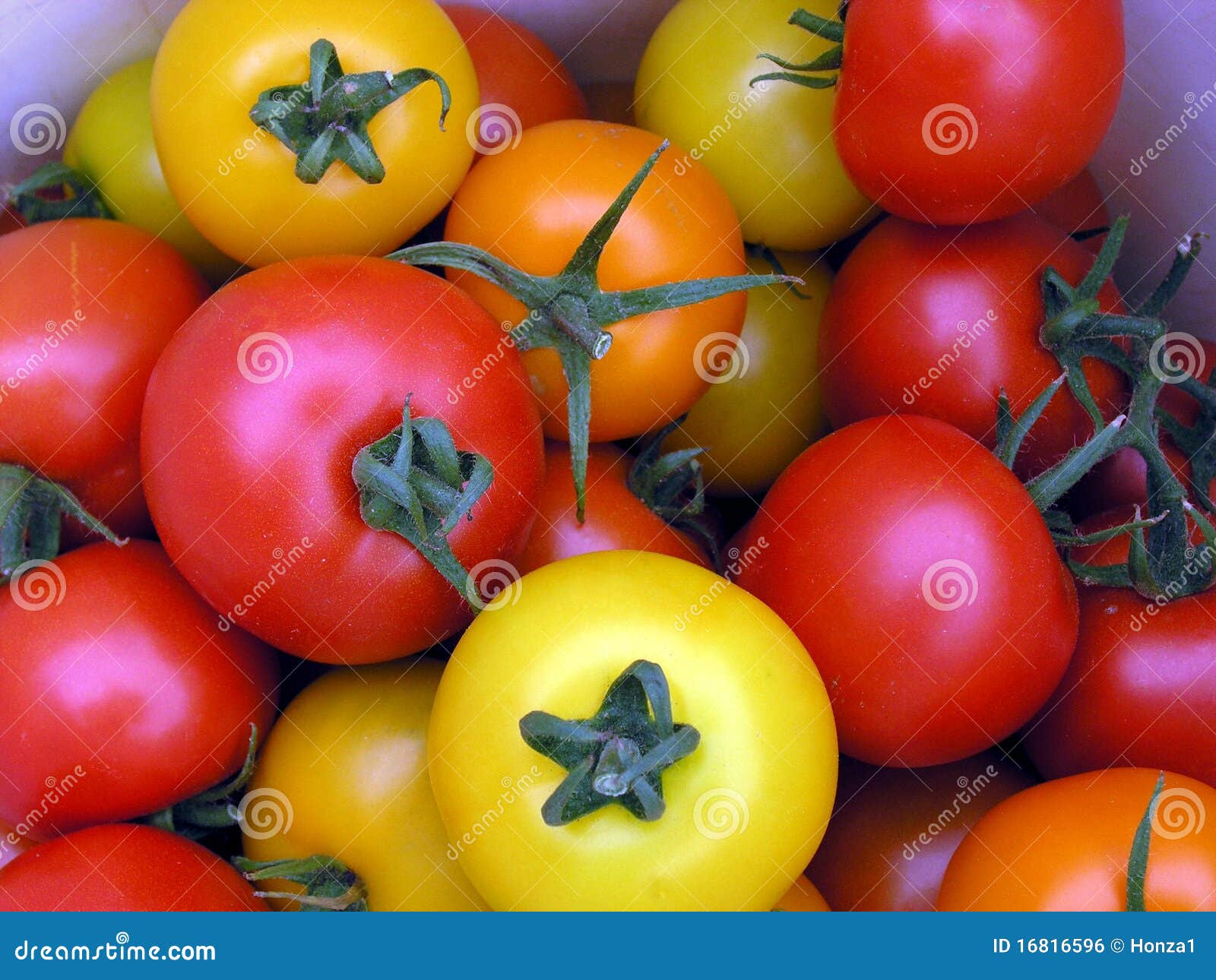 Coloured tomatoes stock photo. Image of closeup, healthy - 16816596