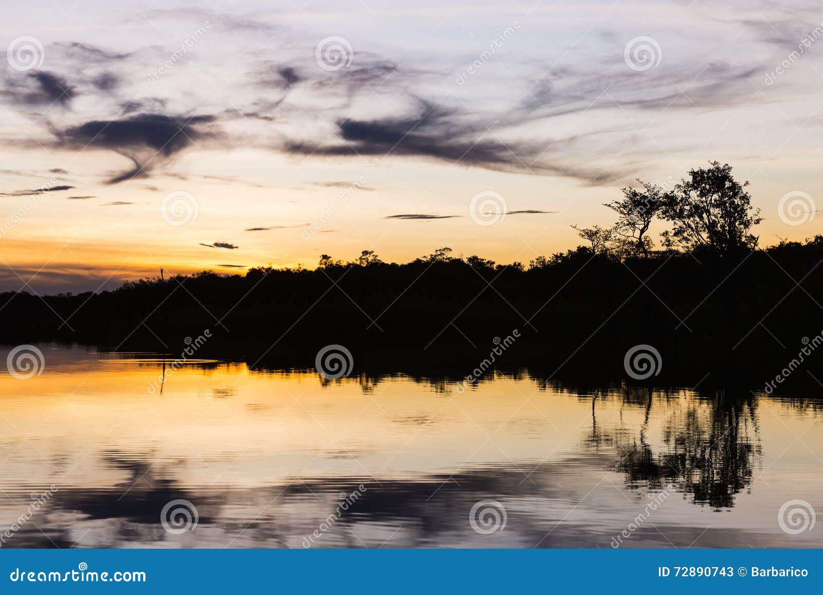 Colourful Amazon Sunset with River and Forest Stock Image - Image of ...