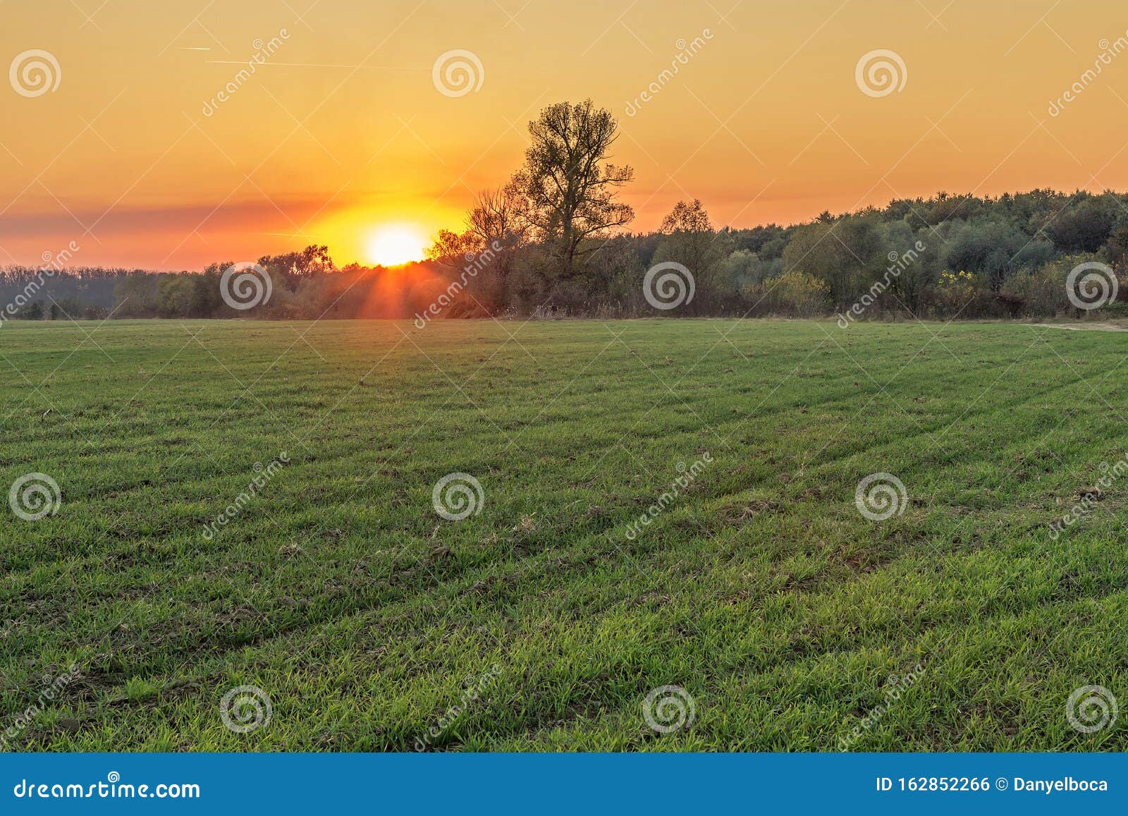 End of October with Golden Light Stock Photo - Image of outdoor, colour ...