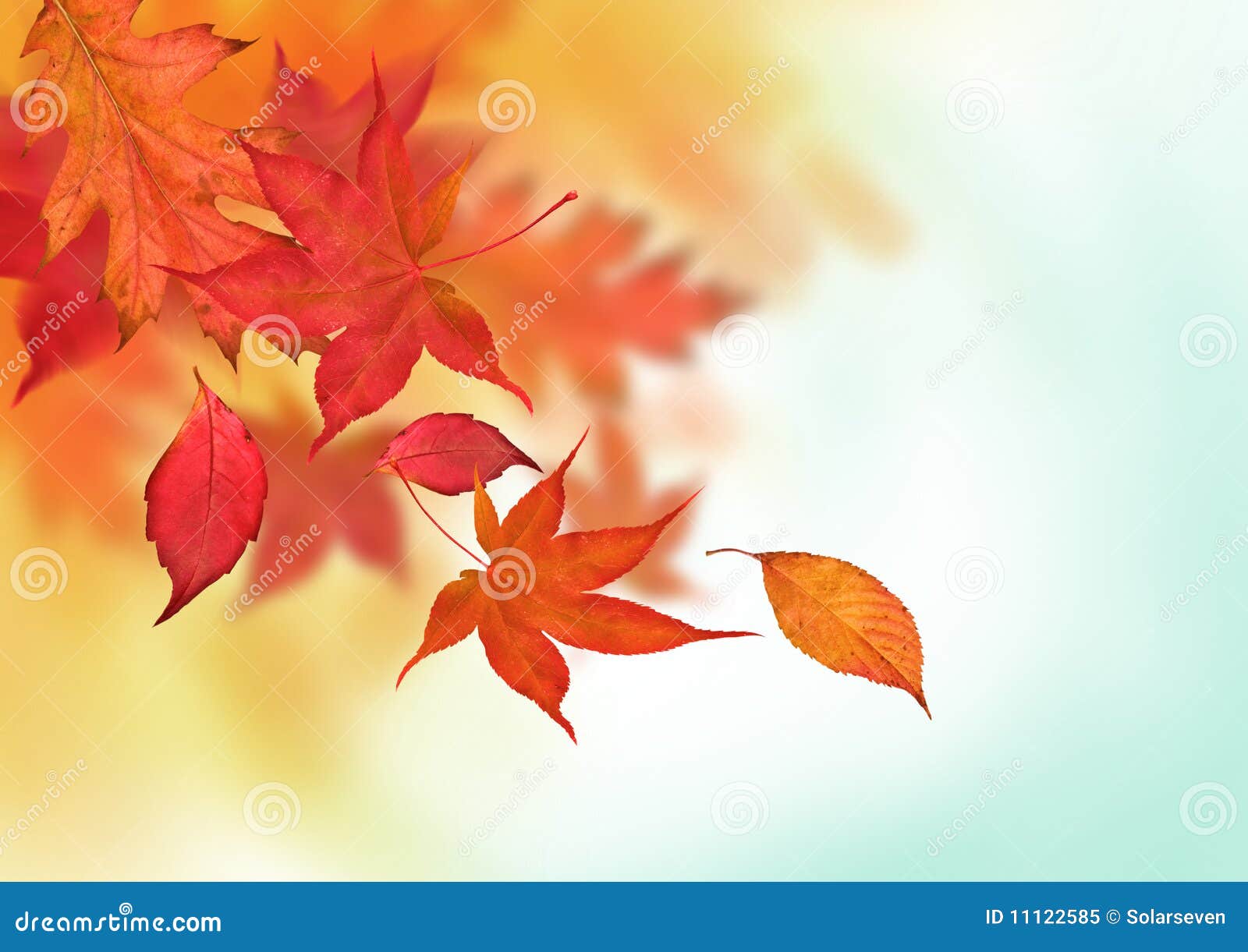 Colourful Autumn Falls stock image. Image of copy, park - 11122585