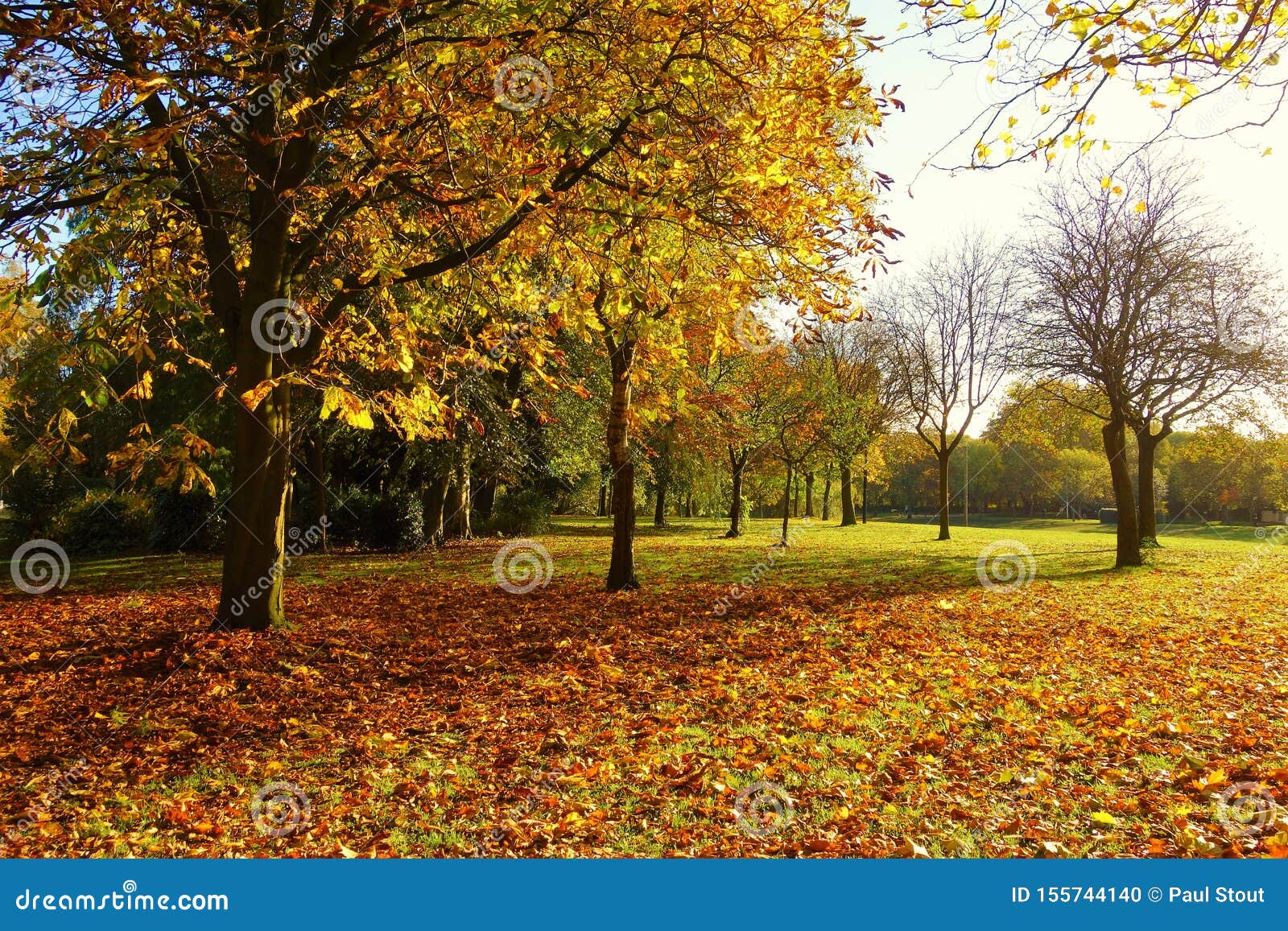 A Colourful Autumn Landscape. Stock Photo - Image of scenic, leaves ...