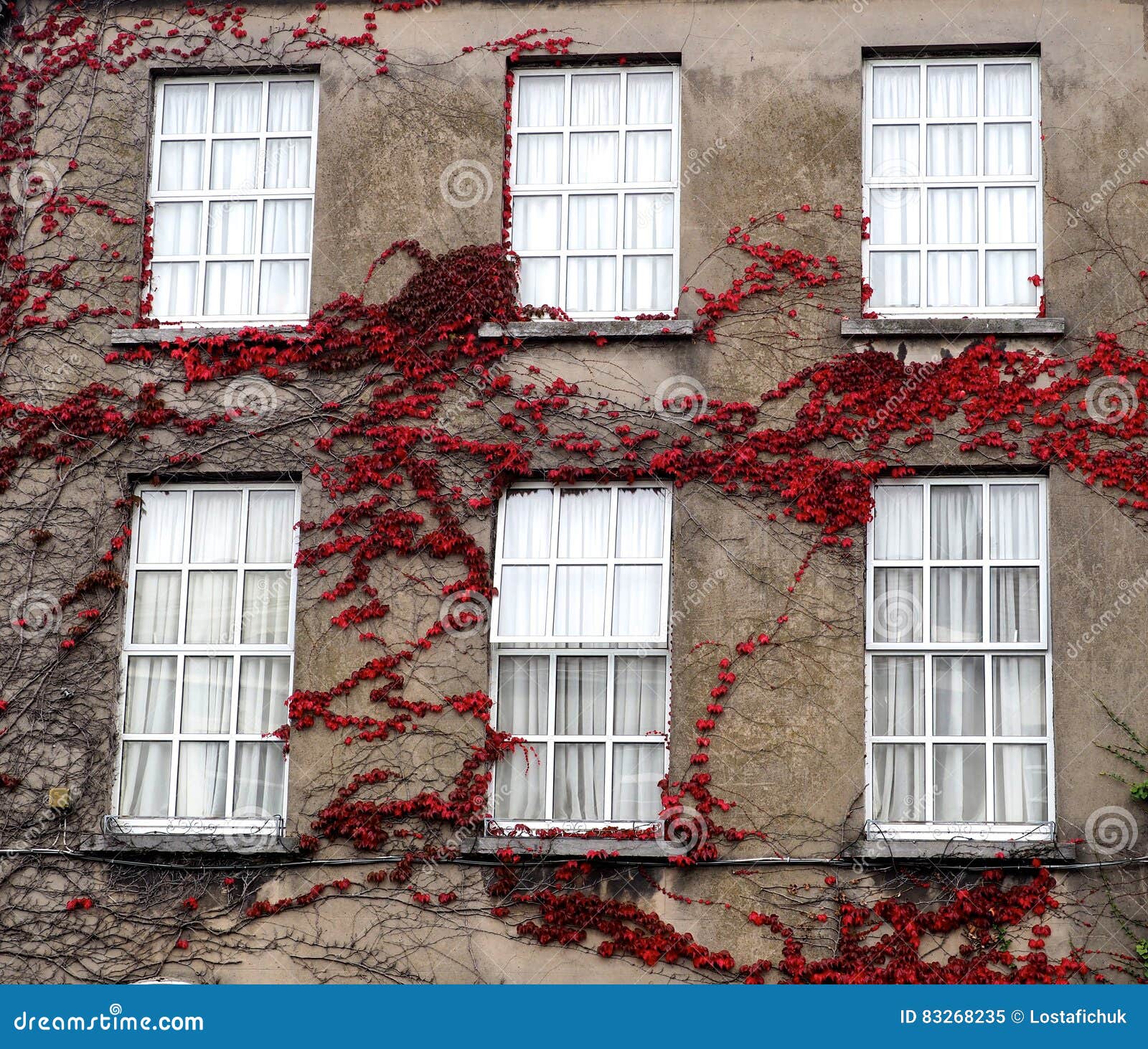 Colourful Autumn Leaves with Paned Window Stock Image - Image of ...
