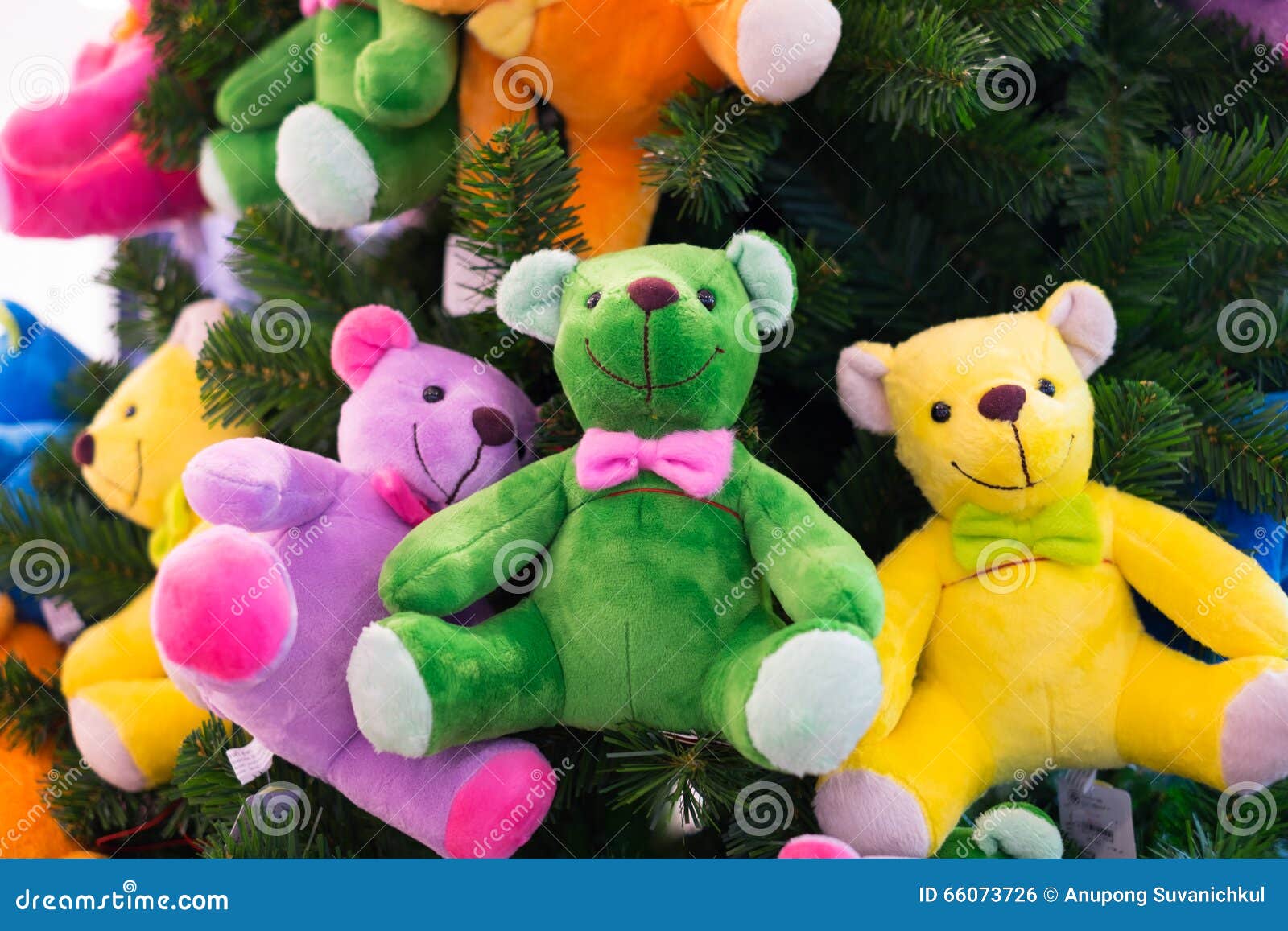 Colourful bears stock photo. Image of doll, object, group - 66073726