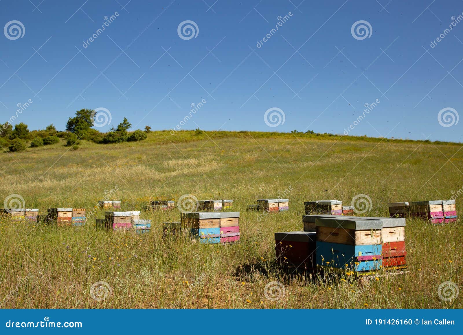 Colourful Bee Hives Under a Clear Blue Sky in Provence Stock Photo ...