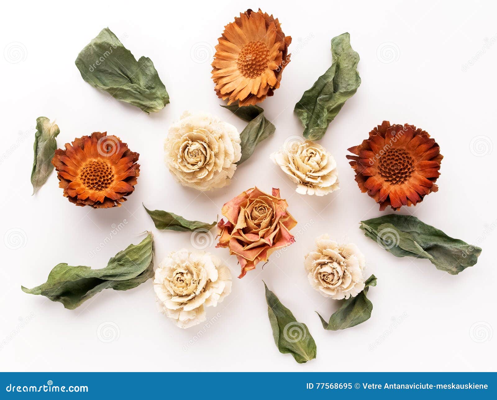 Colourful Bright Pattern Made of Dried Flowers. Flat Lay, Top View ...