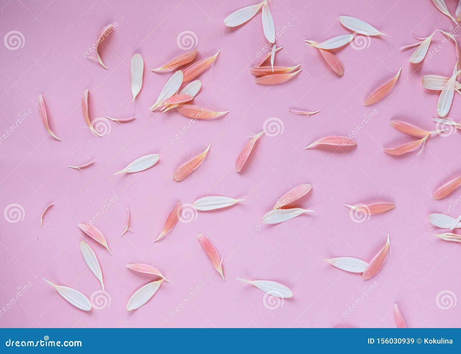 Colourful Bright Pattern Made of Natural Things. Stock Image - Image of ...