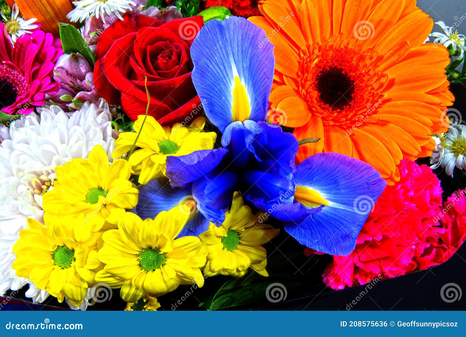 Colourful Bunch of Mixed Flowers Closeup Stock Photo - Image of display ...