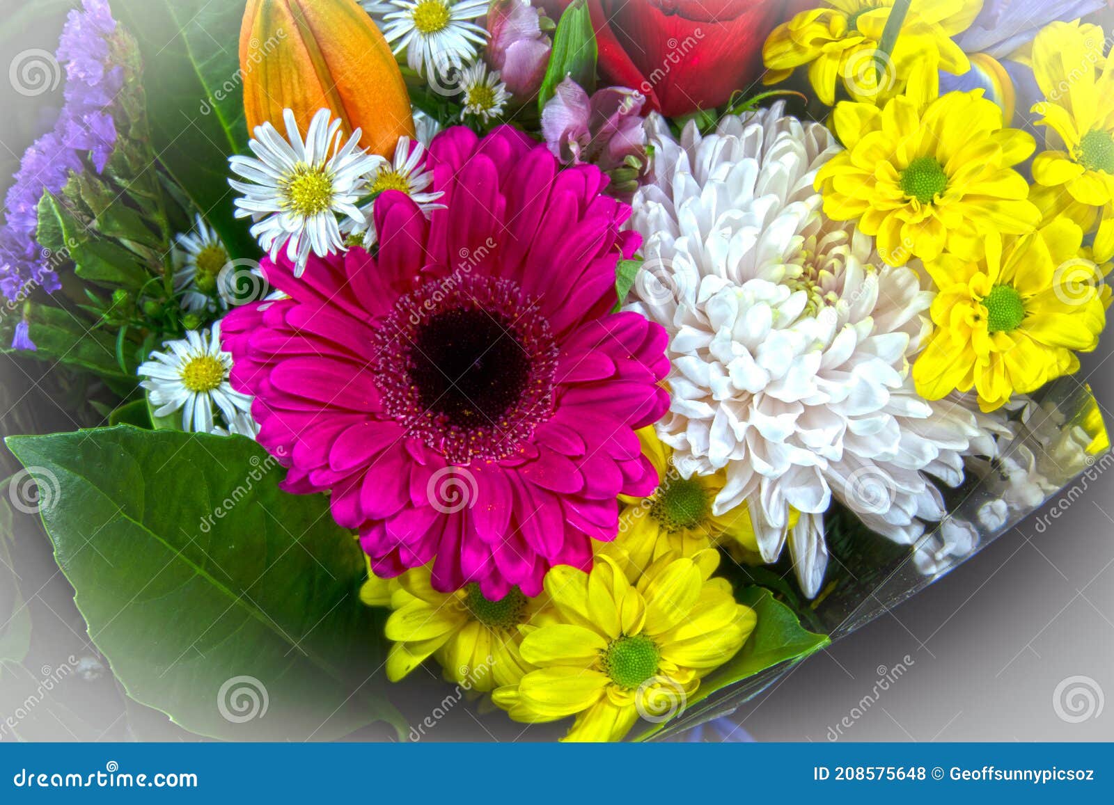 Colourful Bunch of Mixed Flowers Closeup Stock Photo - Image of display ...