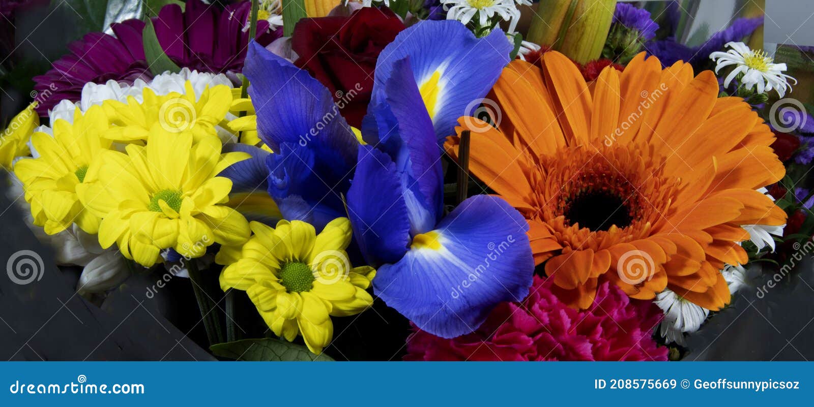 Colourful Bunch of Mixed Flowers Closeup Stock Image - Image of natural ...